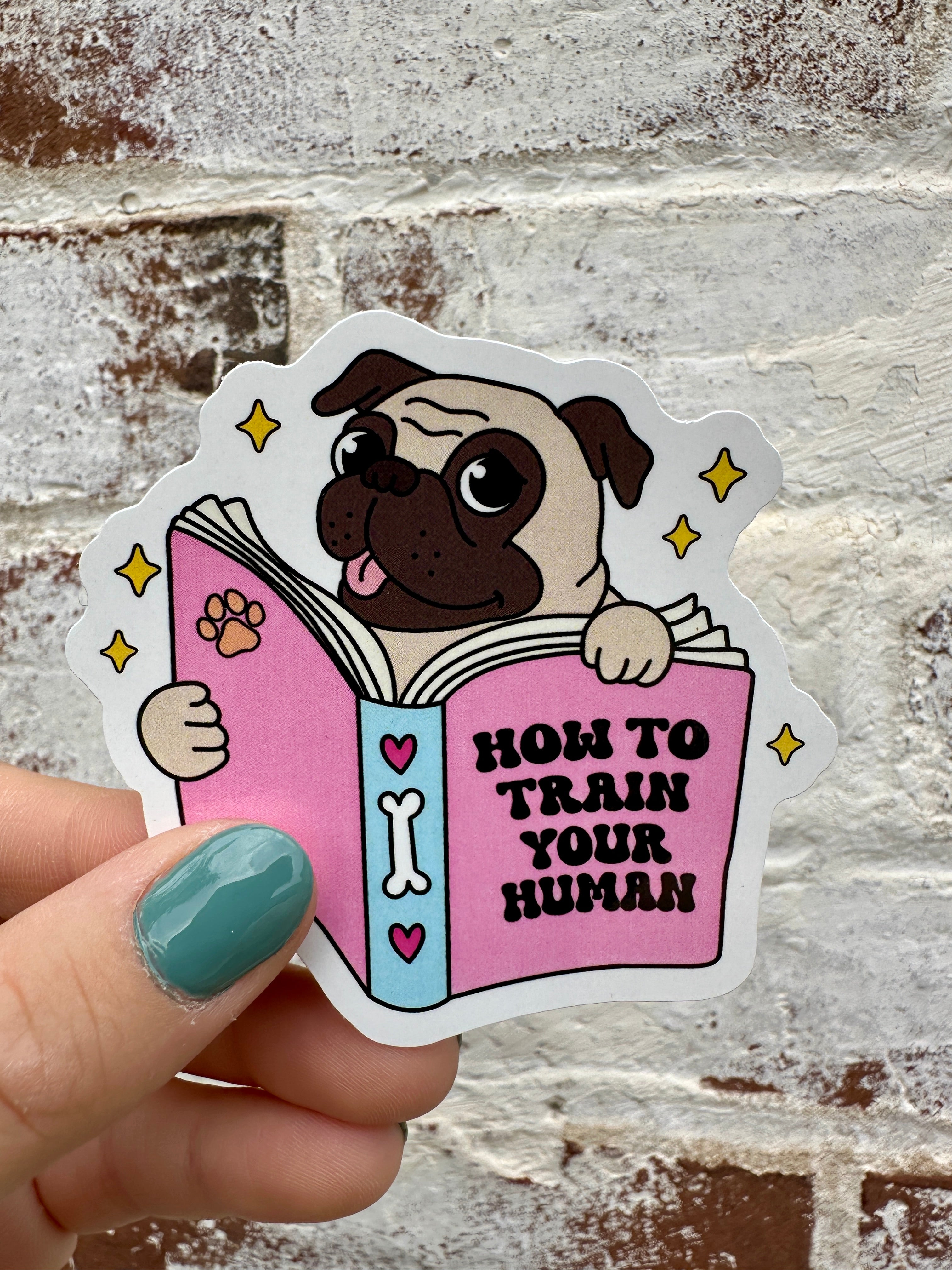 Pug How to Train Your Human – The Doggery